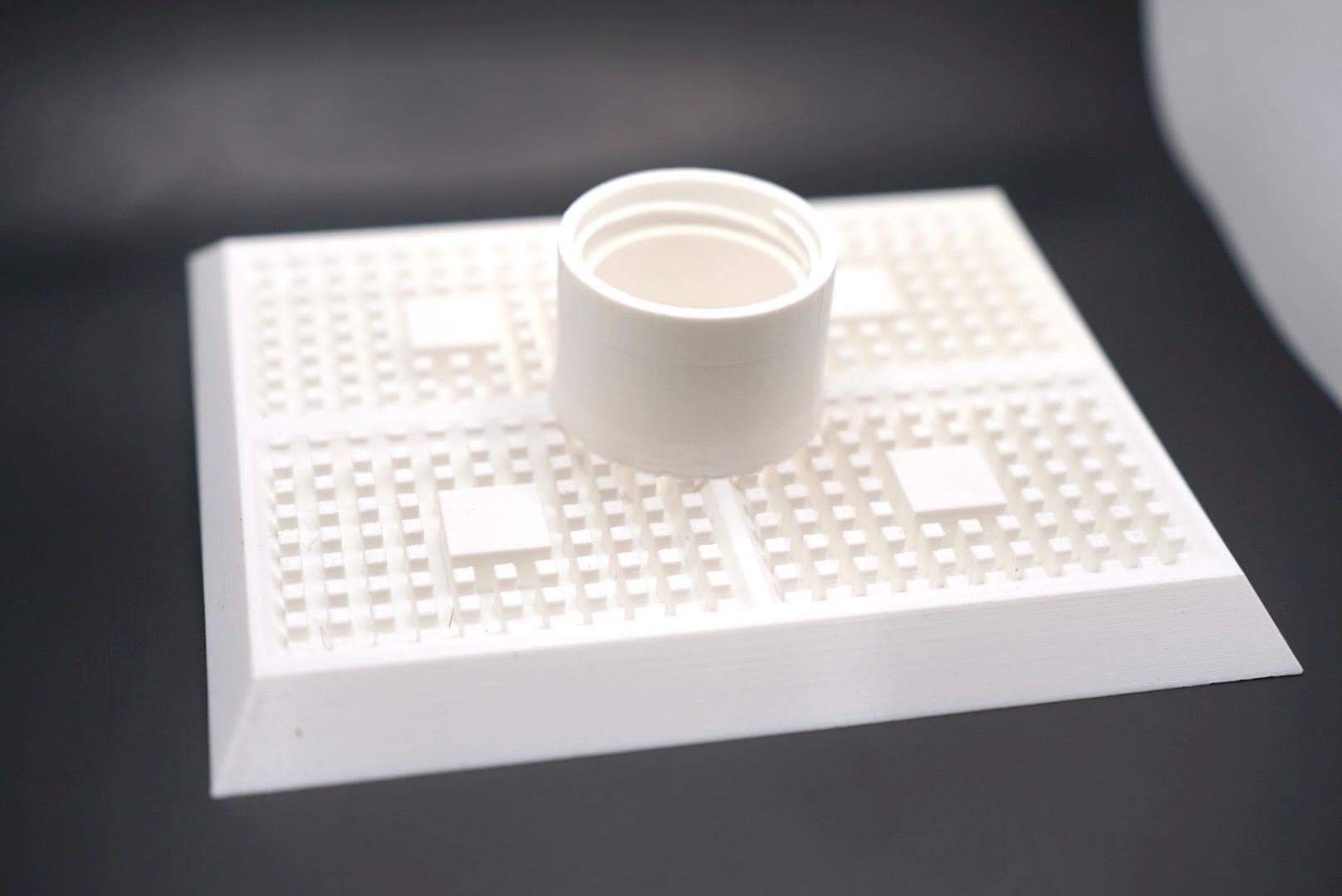 Insect Water & Food Feeder - Gravity Fed, Easy Access for Dubia Roaches ...