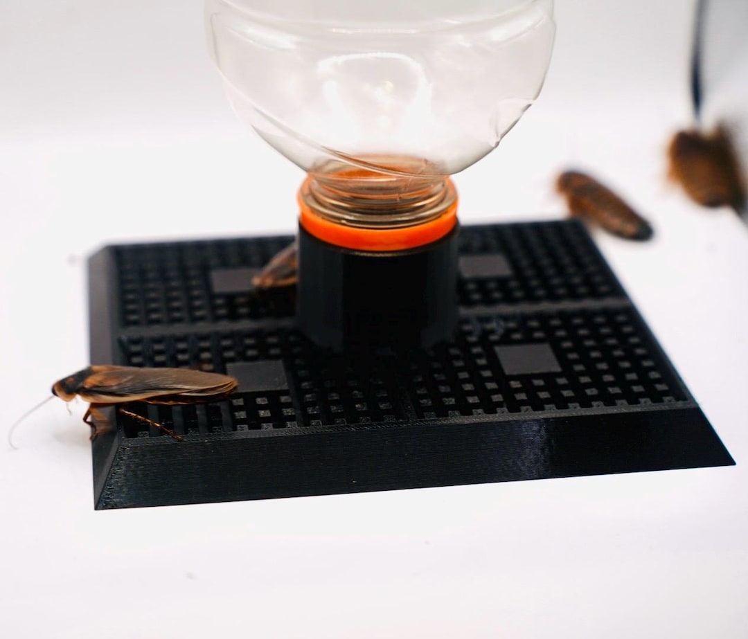 Insect Water & Food Feeder - Gravity Fed, Easy Access for Dubia Roaches ...