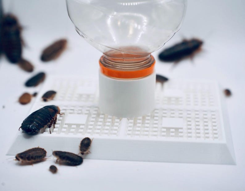 Large Water Feeder for Insects – Gravity Fed, Easy Hydration for Dubia ...
