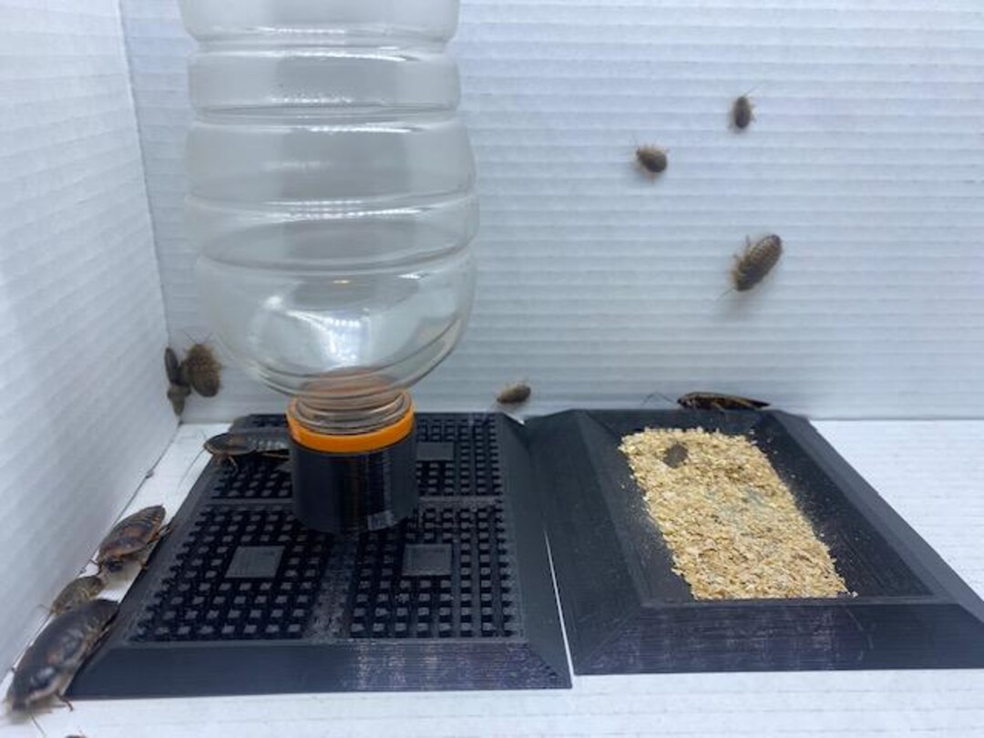 Insect Water & Food Feeder Gravity Fed, Easy Access for Dubia Roaches ...