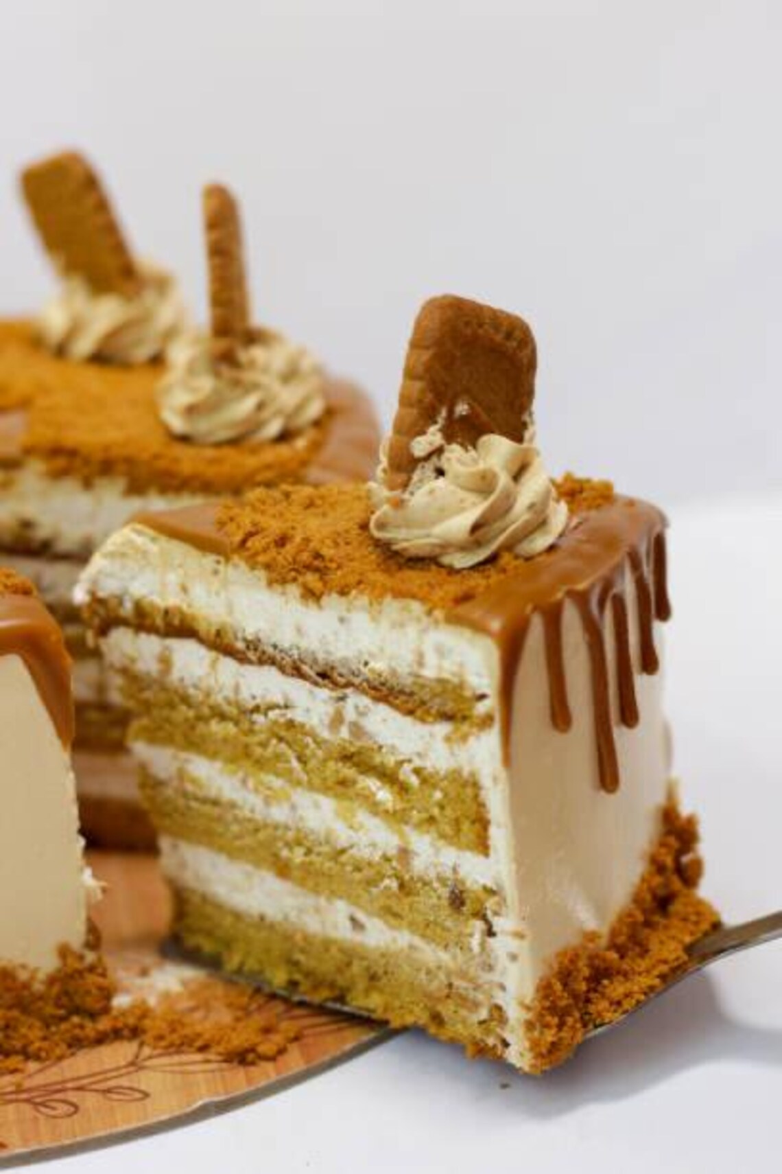 BEST Biscoff Drip Cake Recipe Beginner Friendly - Etsy