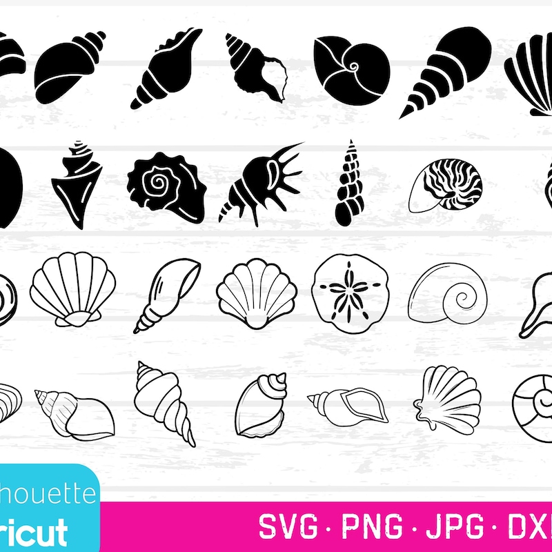 Conch Shell Art - Etsy