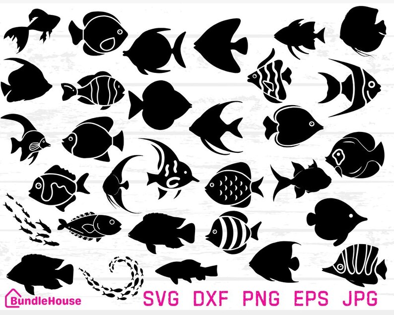 Tropical Fish SVG Bundle ,ocean Fish Svgs, Tropical Fish Cut Files ...