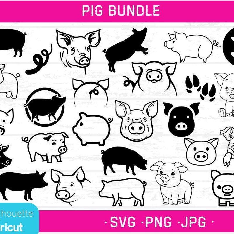 Pig Svg - Etsy