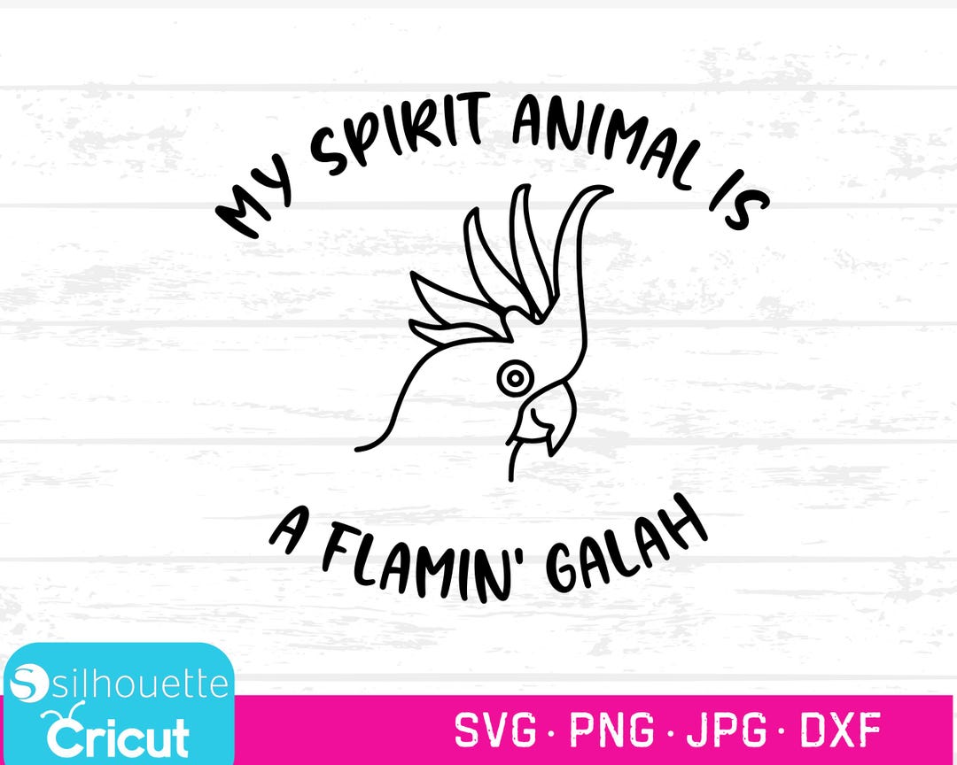 My Spirit Animal is a Flamin Galah SVG PNG DXF, Galah Cut File, My ...