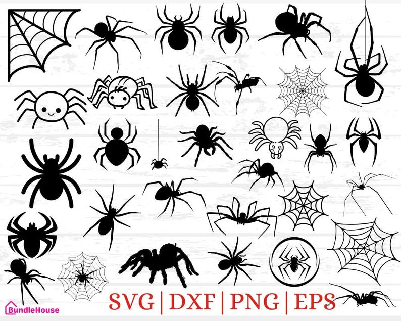 Spider Bundle Svgs, Pngs, Jpgs, Dxfs, Spider Cut Files, Spider Outline ...