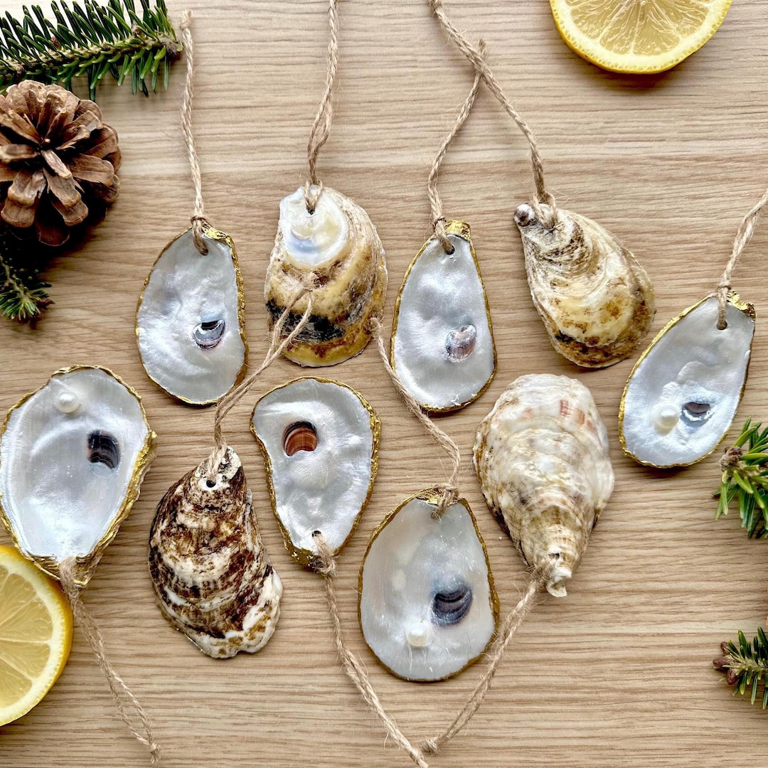 REAL Oyster Shell Ornament | Hand Painted | Christmas Ornament ...
