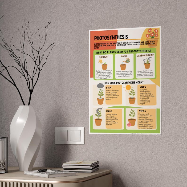 Photosynthesis Classroom Poster - Etsy