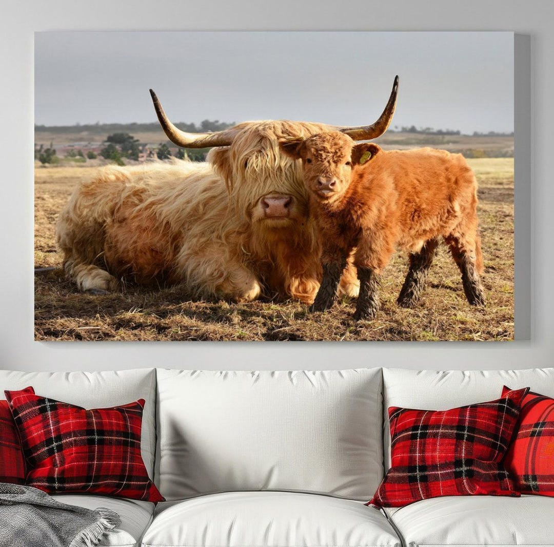 Scottish Highland Baby Cow Wall Art Canvas Print for Western Cowboy ...