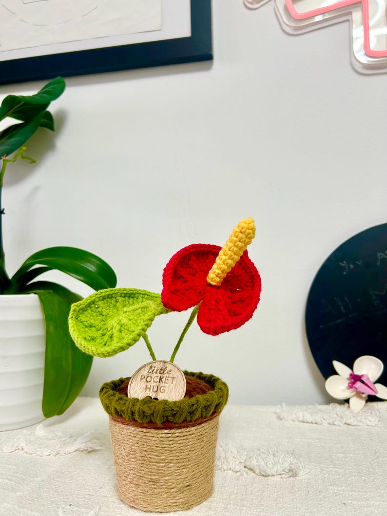 Handcrafted Crochet Anthurium in Pot, Crochet Plant, Crochet Succulent ...
