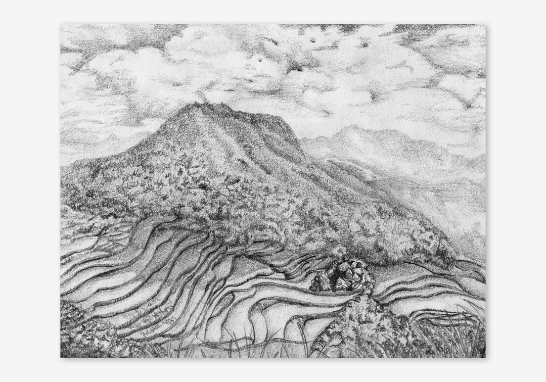 Digital - Original Artwork - Rice Fields Landscape Black & White - Etsy
