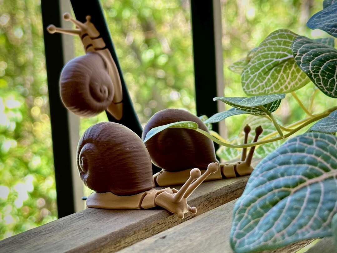 Flexi Snail Magnet - Etsy