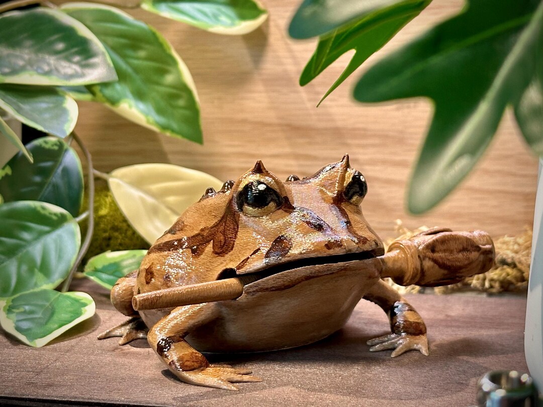 Croaking Pac-man Frog Guiro - Etsy