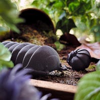 Isopod Roly Poly Pillbug Plush Animal Sewing Pattern .pdf Tutorial Wood ...