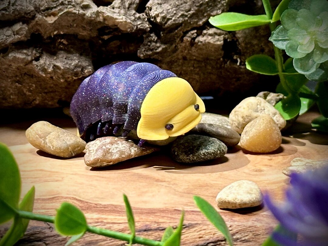 Rubber Ducky Isopod Buddy - Etsy