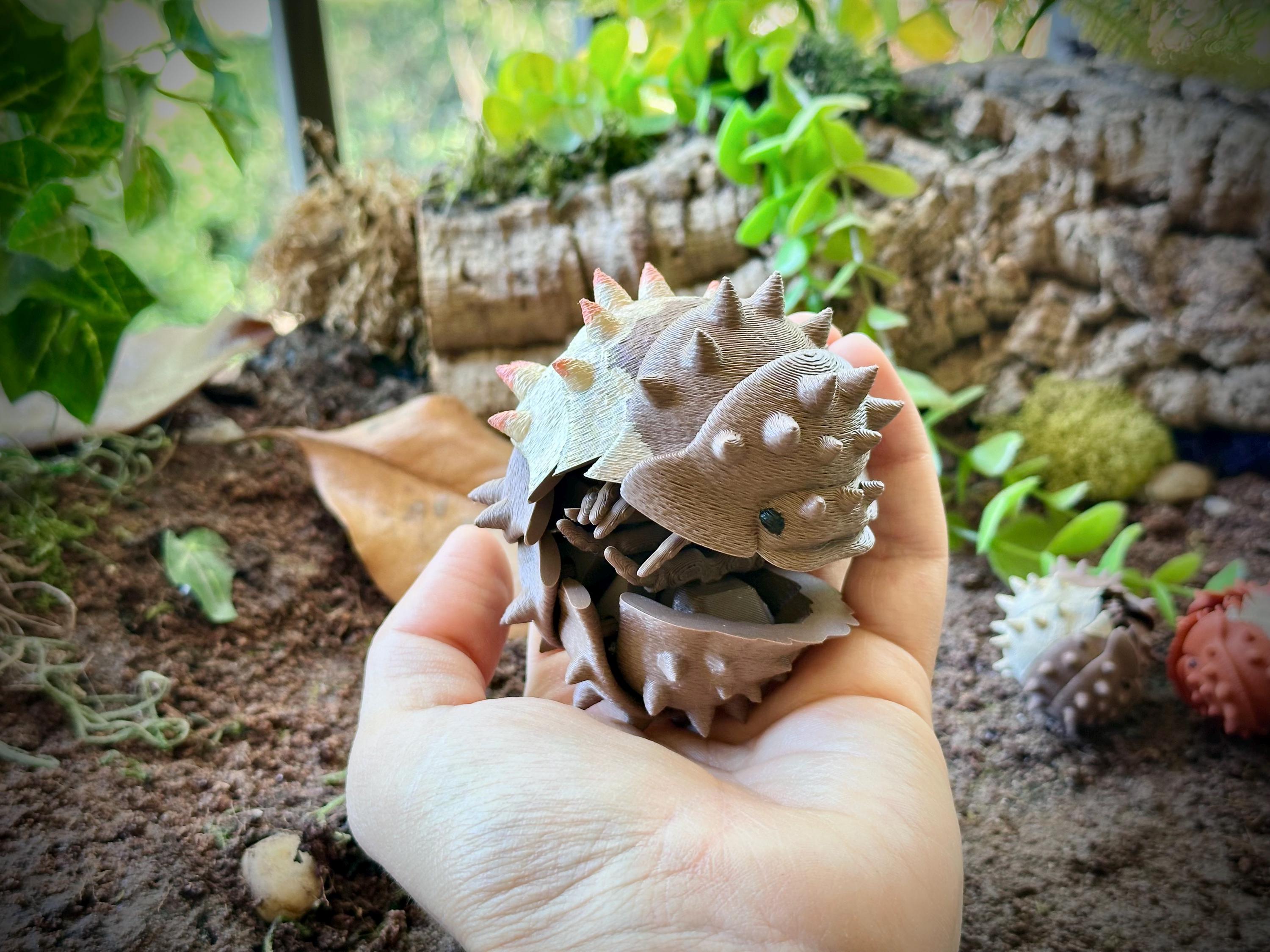 Hedgehog Isopod Buddy - Etsy