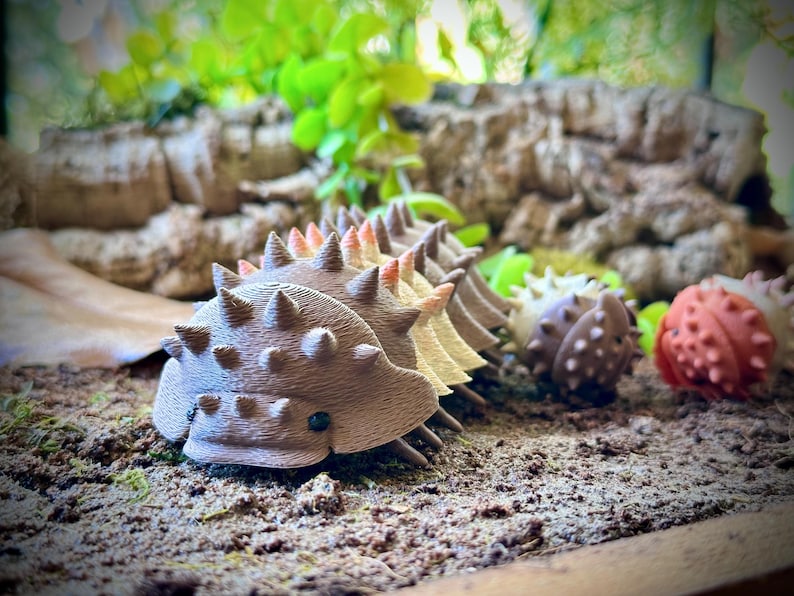 Hedgehog Isopod Buddy - Etsy