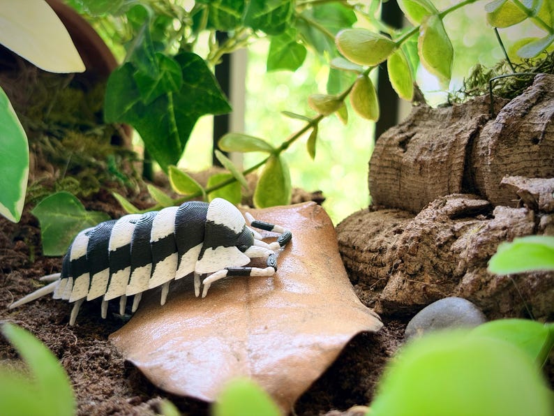 Exotischer Isopod Buddy - Etsy.de