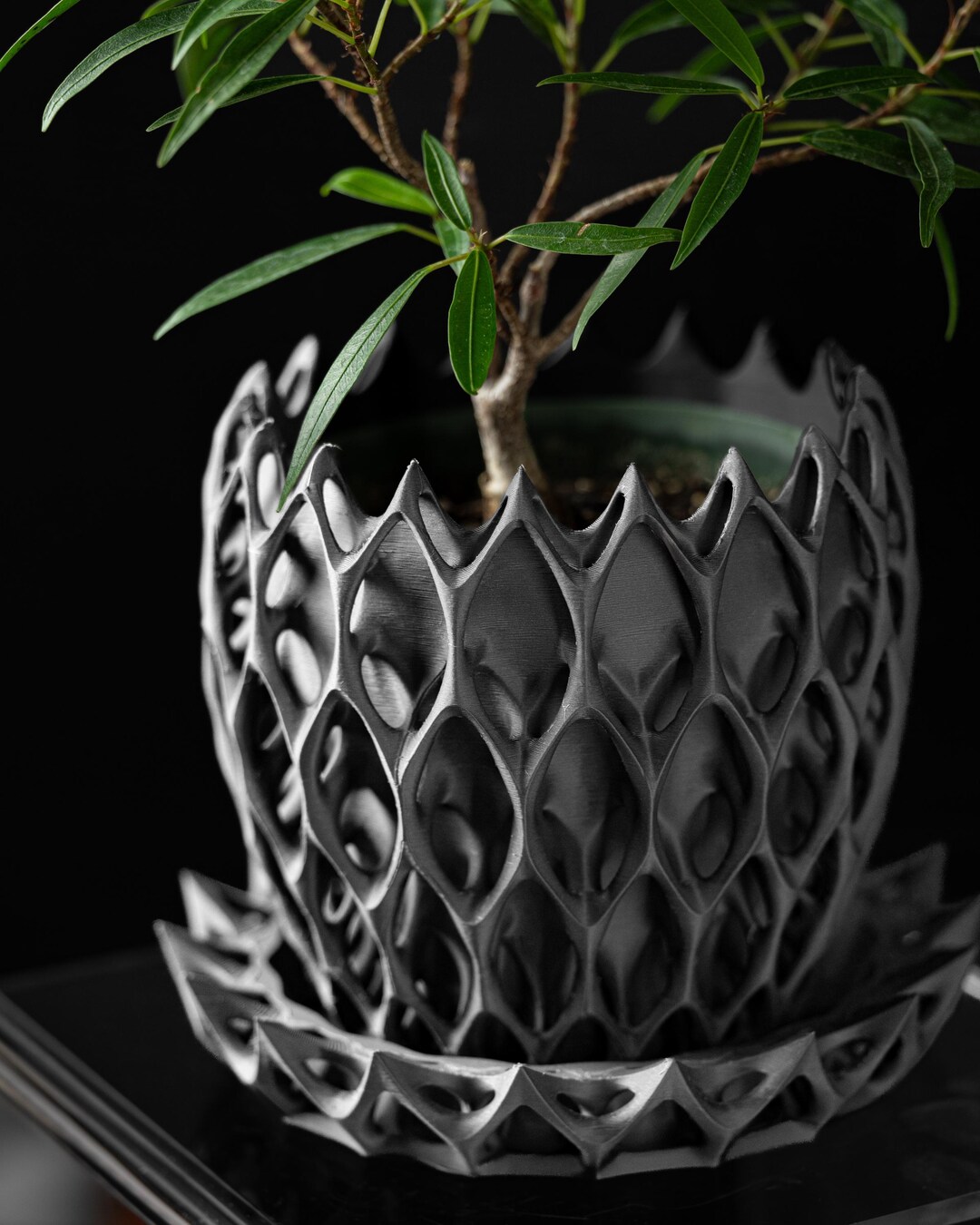 Gothic Planter - Sculpted Black Pot for Indoor Plants - Modern Gift for ...