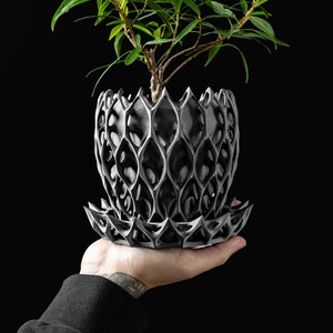Gothic Planter - Sculpted Black Pot for Indoor Plants - Modern Gift for ...