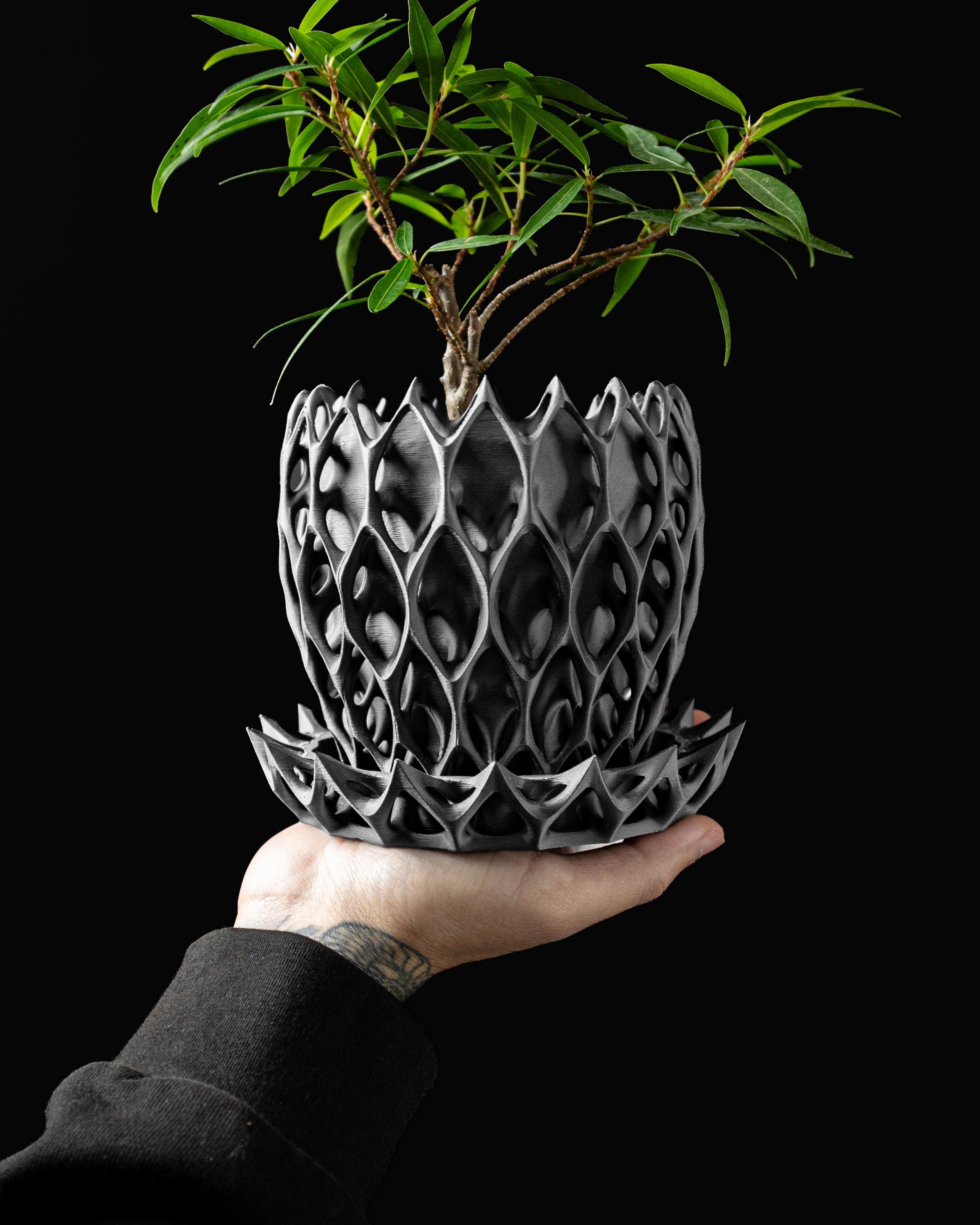 Gothic Planter - Sculpted Black Pot for Indoor Plants - Modern Gift for ...