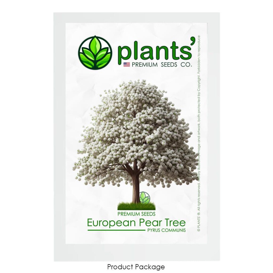 European Pear Tree | Premium Seeds | Pyrus Communis 'spring' | Plants ...