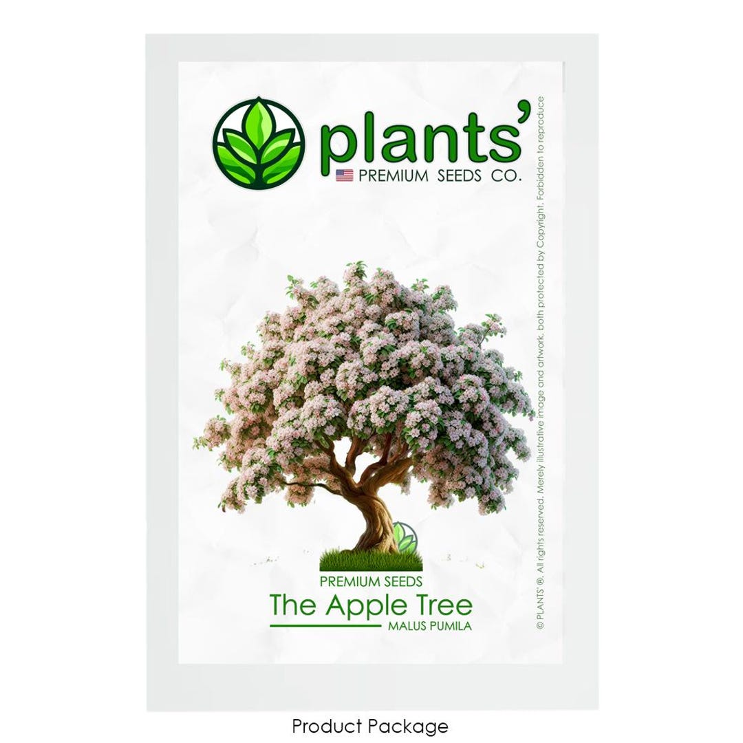 The Apple Tree | Premium Seeds | Malus Pumila 'spring' | Plants'® - Etsy