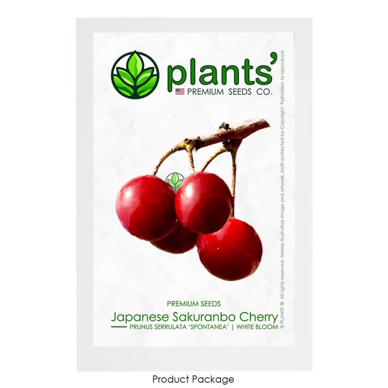 Japanese Sakuranbo Cherry | Premium Seeds | Prunus Serrulata 'spontanea ...