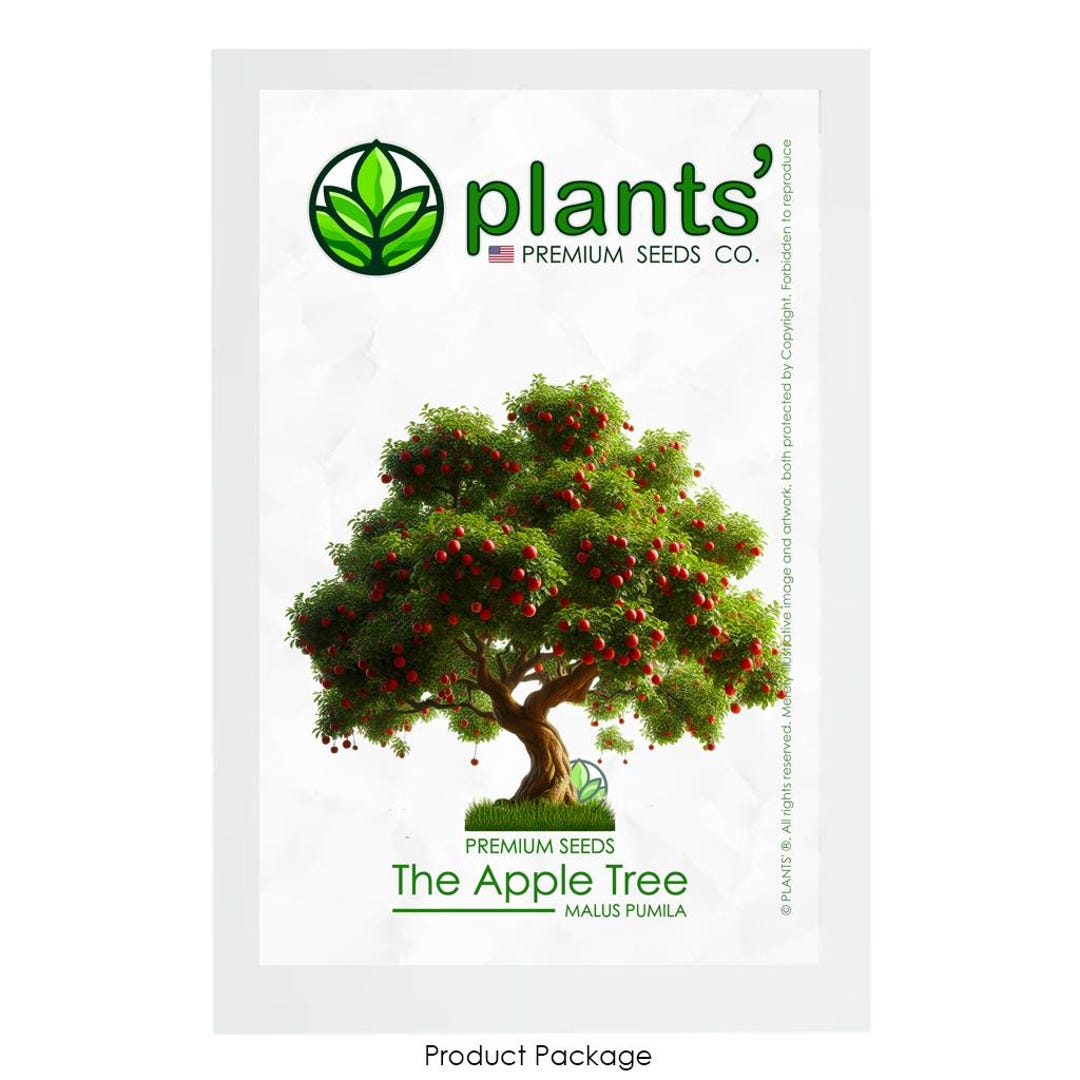The Apple Tree | Premium Seeds | Malus Pumila 'summer' | Plants'® - Etsy