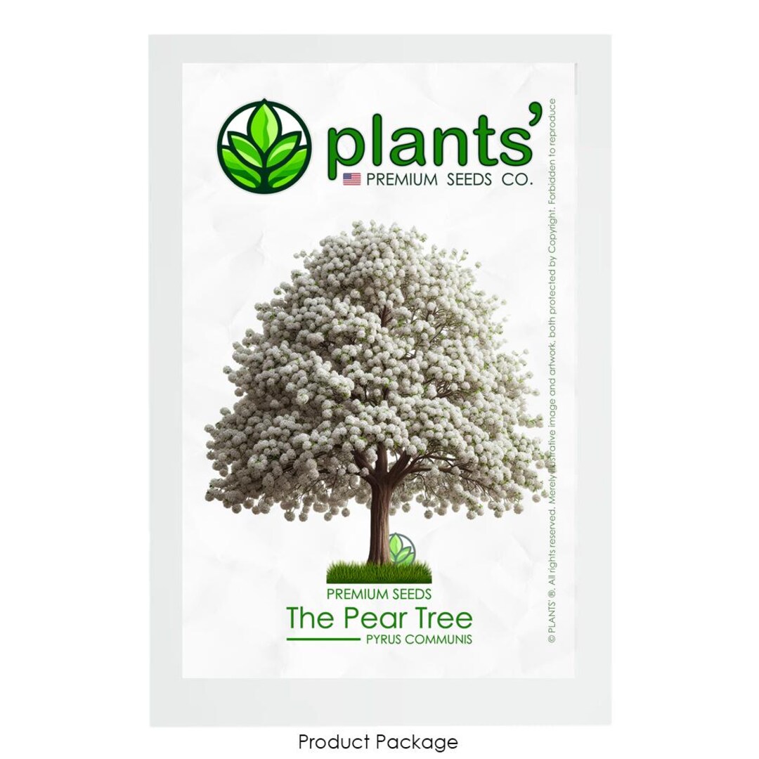 The Pear Tree | Premium Seeds | Pyrus Communis 'spring' | Plants'® - Etsy