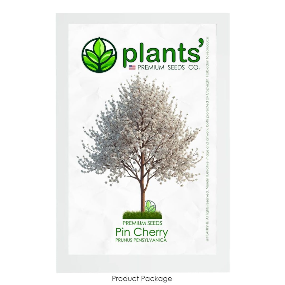 Pin Cherry Tree | Premium Seeds | Prunus Pensylvanica 'spring' | Plants'® - Etsy