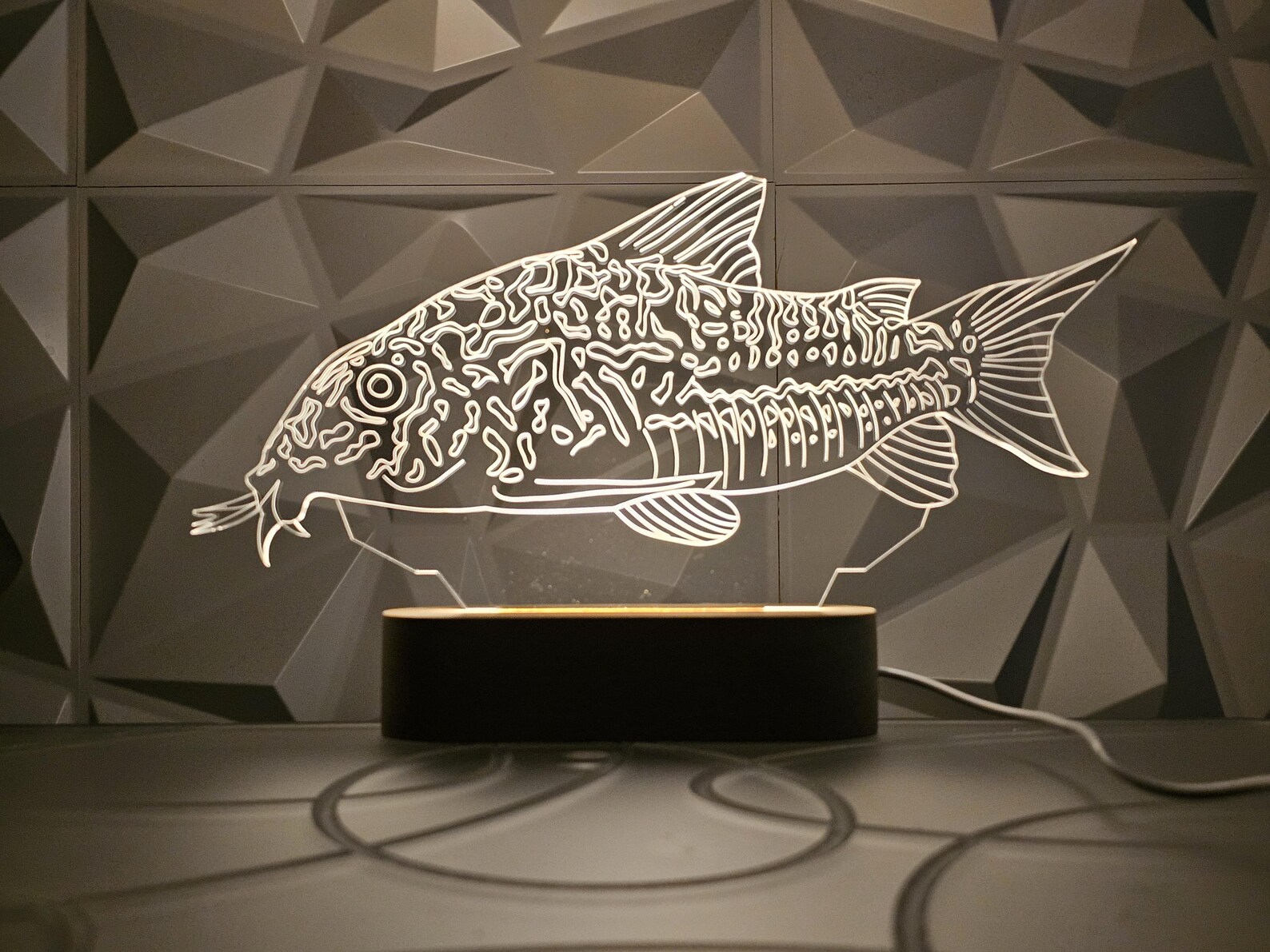 Freshwater Cory Catfish Fish Fishing 3D Illusion LED Night Light Sign ...