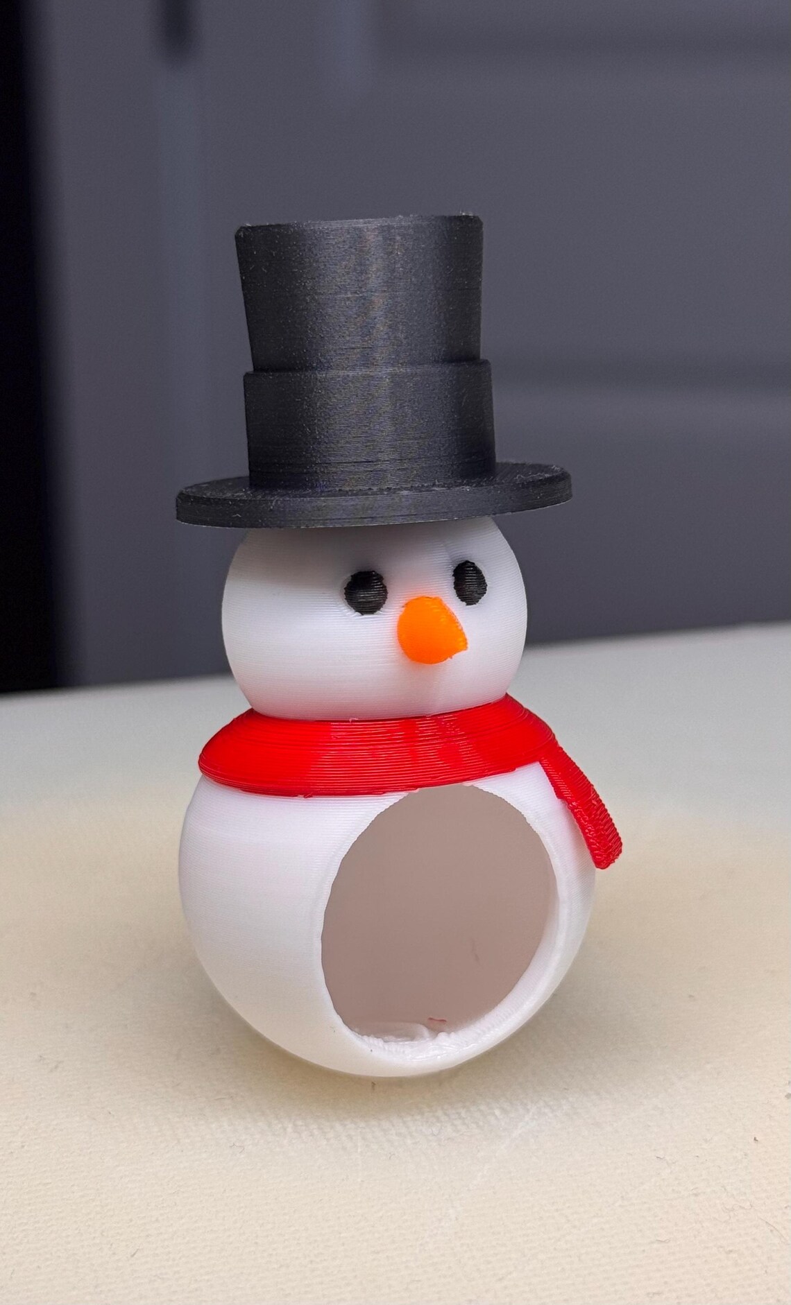 Snowman Jumping Spider Hide - Etsy