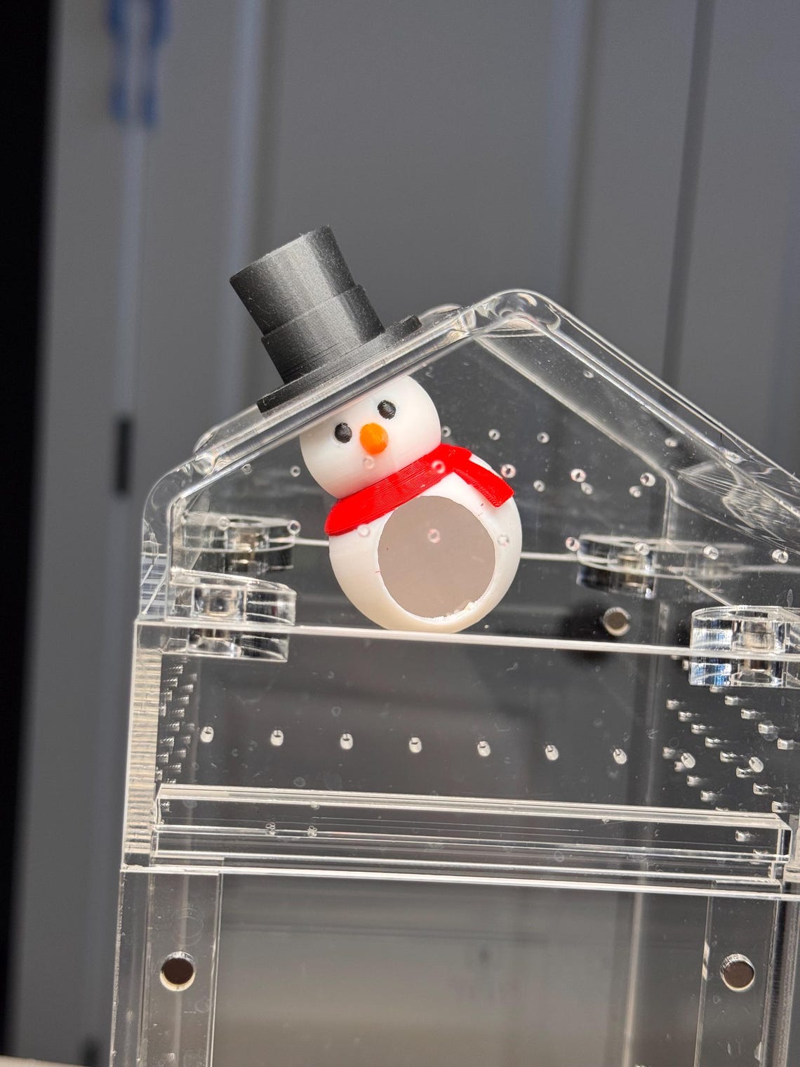 Snowman Jumping Spider Hide - Etsy