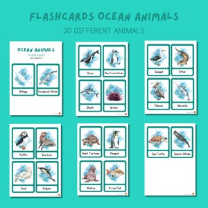 Ocean Animals Montessori 3-part Flashcards: Educational Activity for ...