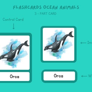 Ocean Animals Montessori 3-part Flashcards: Educational Activity for ...