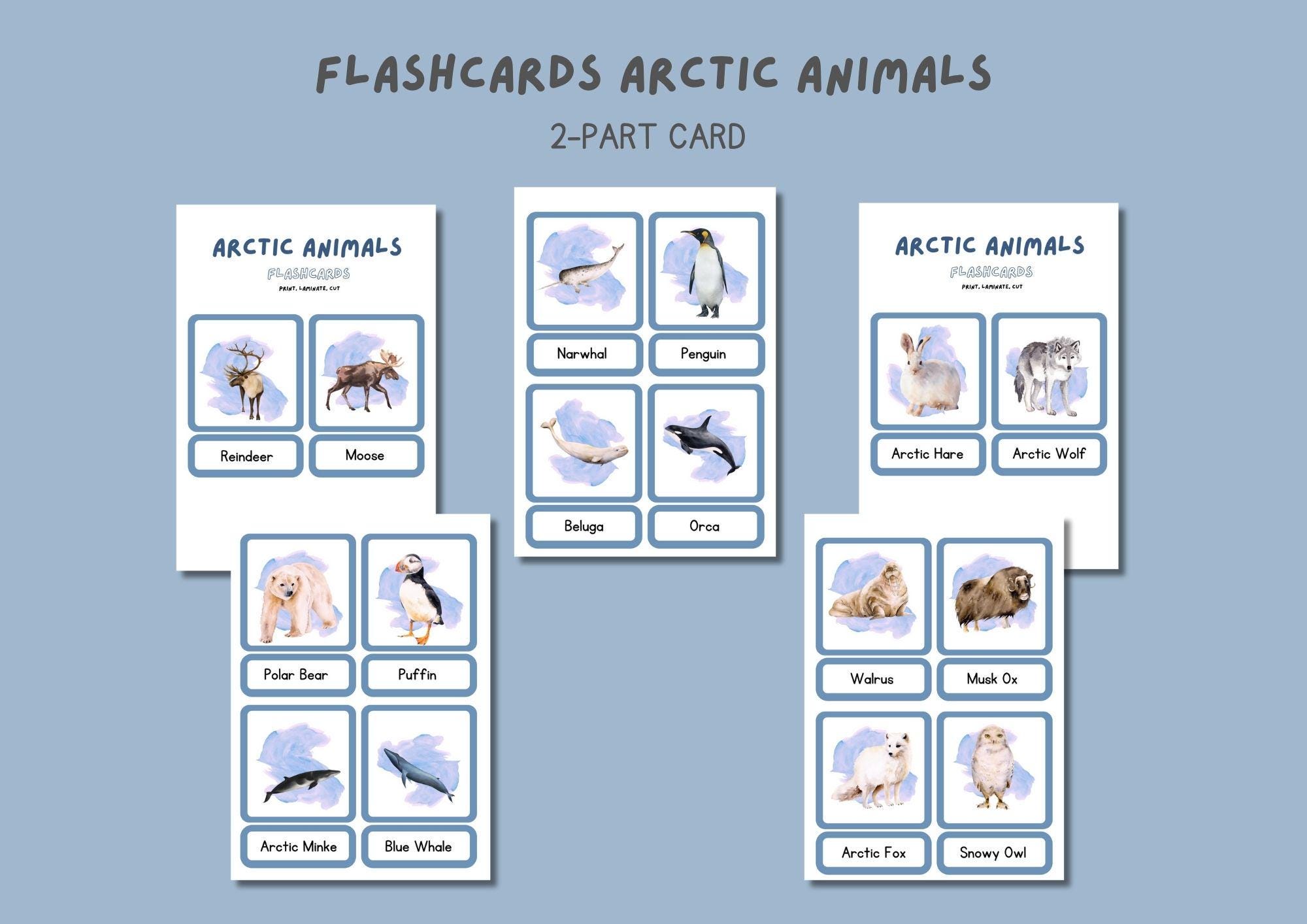 Arctic Animals Flashcards Polar Animals Montessori 3-part Cards Winter ...