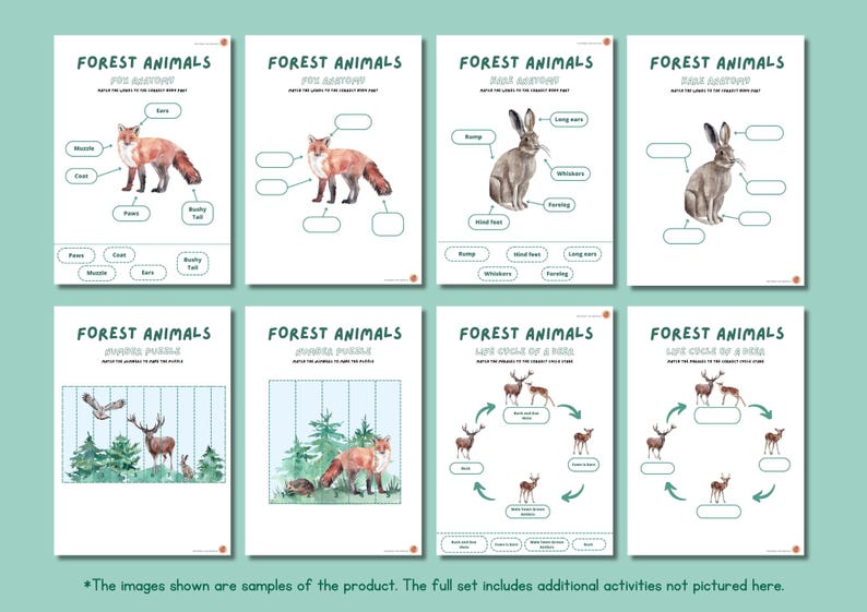 Printable Kids Activity Book: Forest Animals for Toddlers ...
