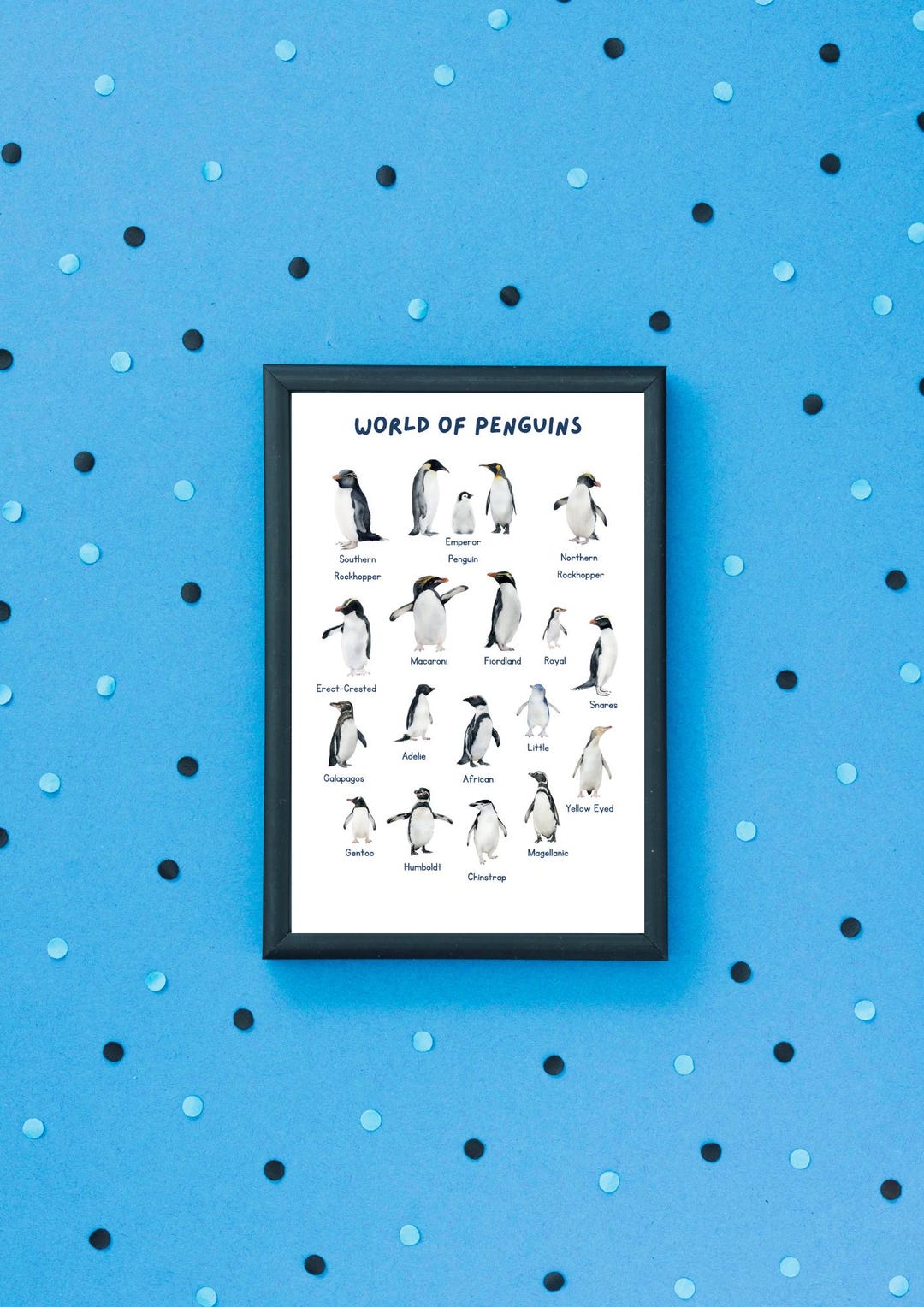 Penguin Educational Poster | Montessori Nature Wall Art for Kids Room ...
