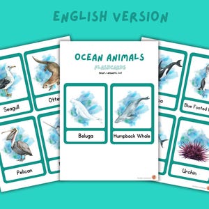 Ocean Animals Montessori 3-part Flashcards: Educational Activity for ...