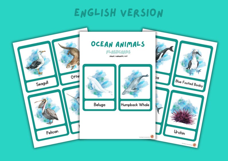 Ocean Animals Montessori 3-part Flashcards: Educational Activity for ...