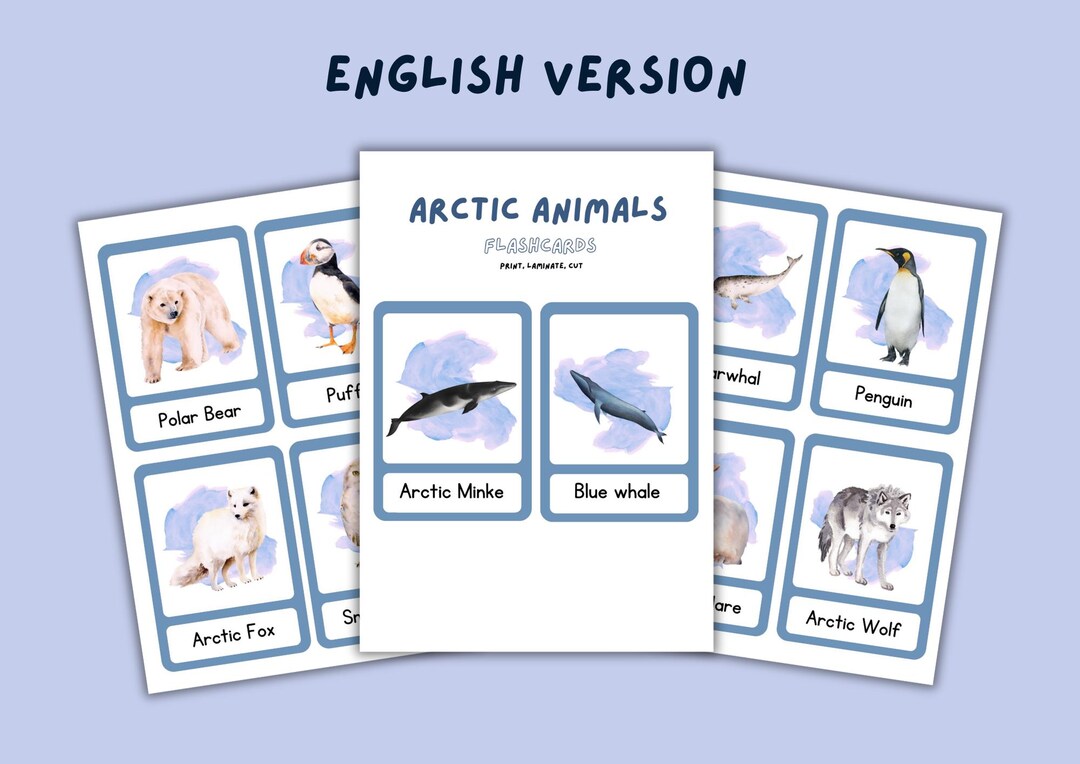 Flashcards Arctic Animals Polar Animals Montessori 3-part Cards Winter ...