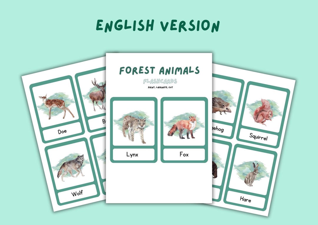 Forest Animals Montessori 3-part Flashcards: Educational Activity for ...