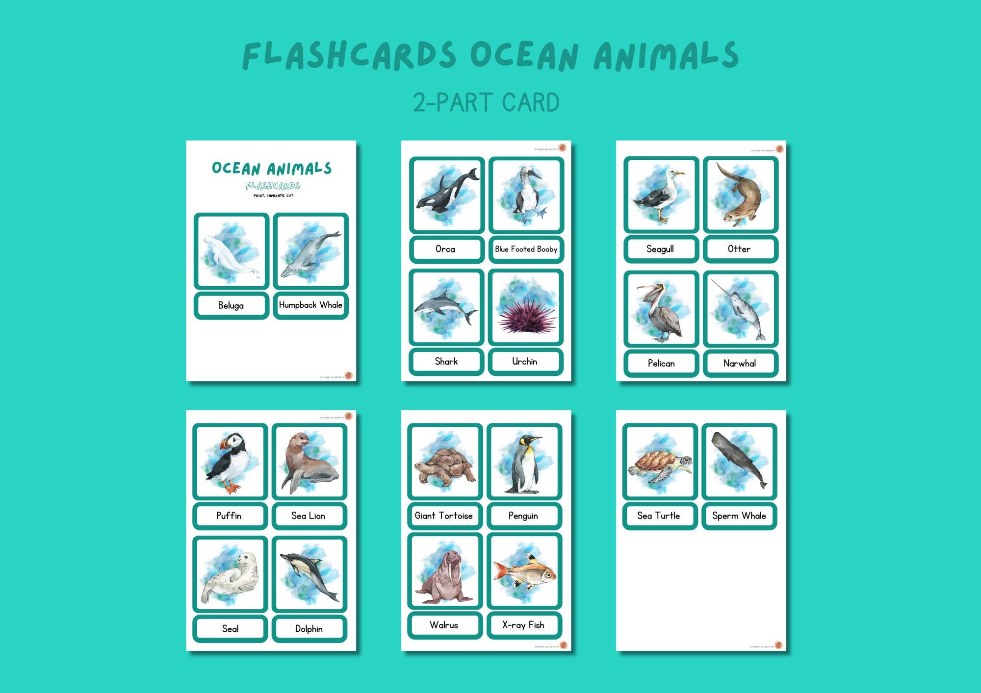 Ocean Animals Montessori 3-part Flashcards: Educational Activity for ...