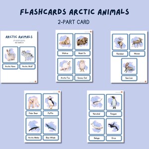 Arctic Animals Montessori 3-part Flashcards: Educational Activity for ...