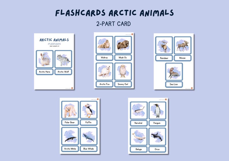 Flashcards Arctic Animals Polar Animals Montessori 3-part Cards Winter ...