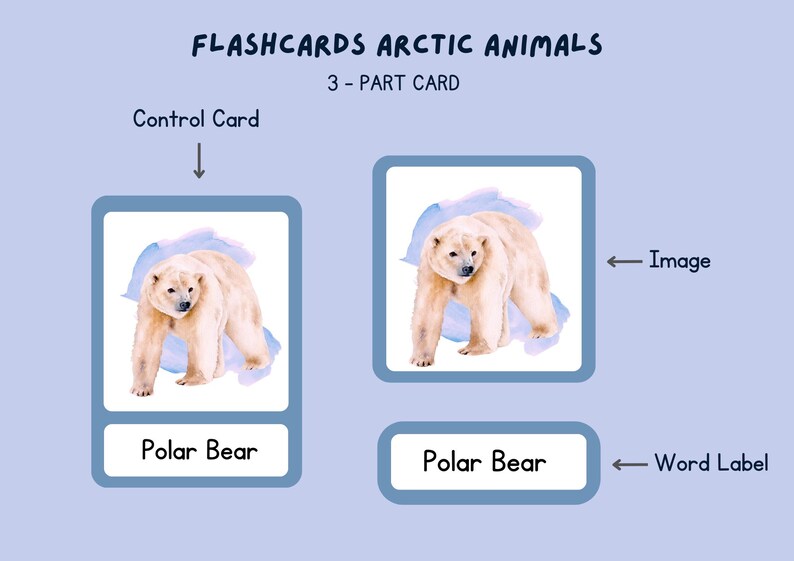 Flashcards Arctic Animals Polar Animals Montessori 3-part Cards Winter ...