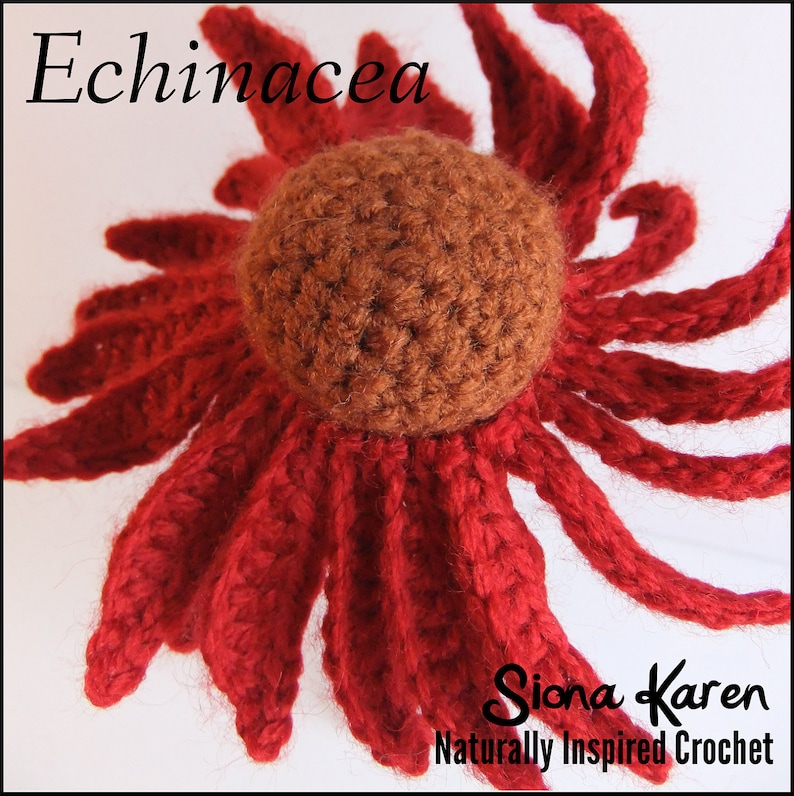 Echinacea Crochet Pattern PDF - Etsy