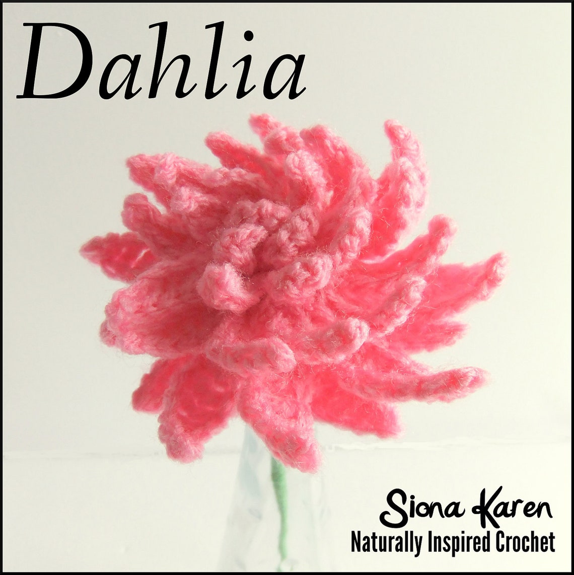 Dahlia Crochet Pattern PDF - Etsy