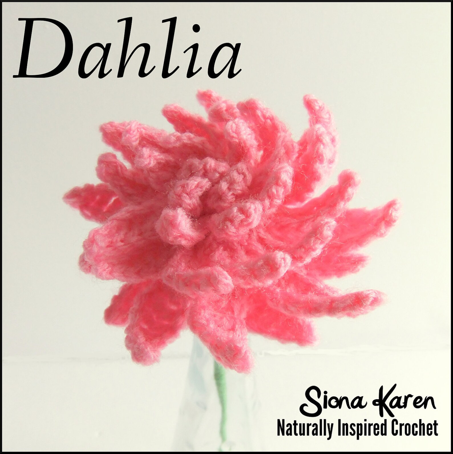 Dahlia Crochet Pattern PDF - Etsy